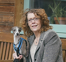 Petplan - Charity website