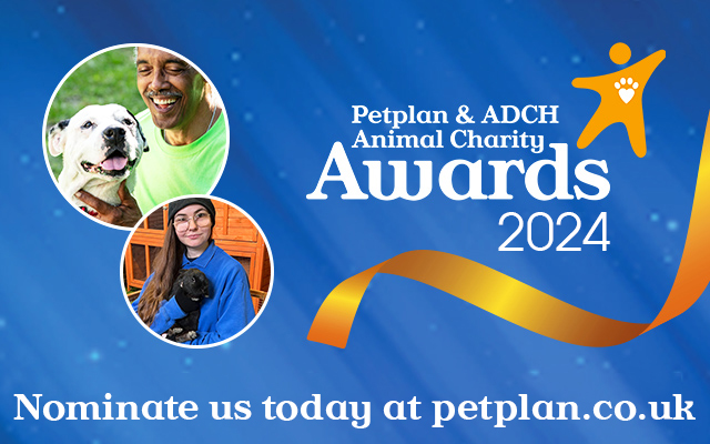 Petplan - Charity website